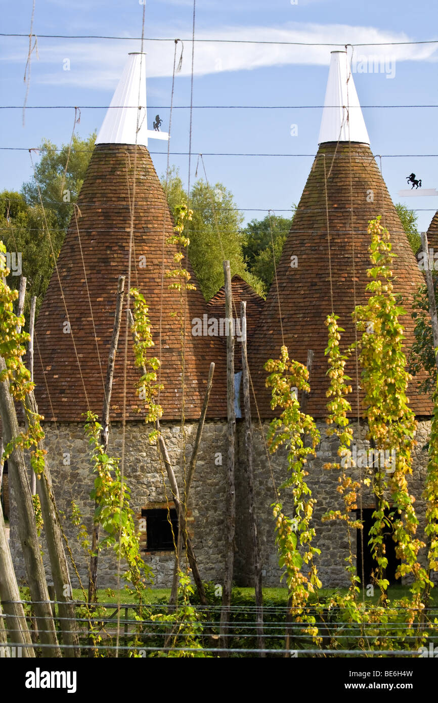 Oast houses hi-res stock photography and images - Alamy