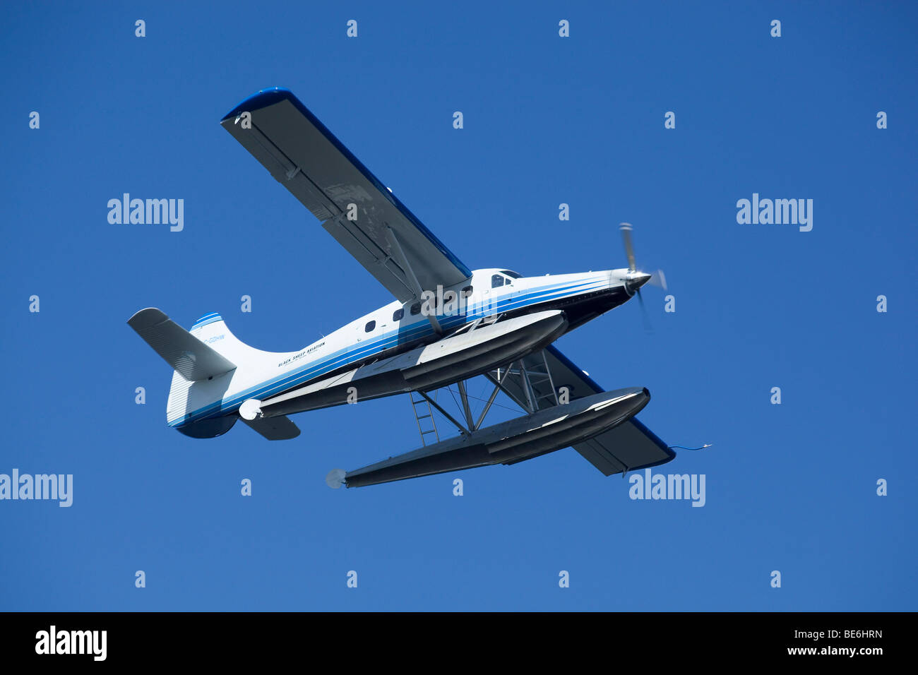 The Mountain Goat Bush Plane