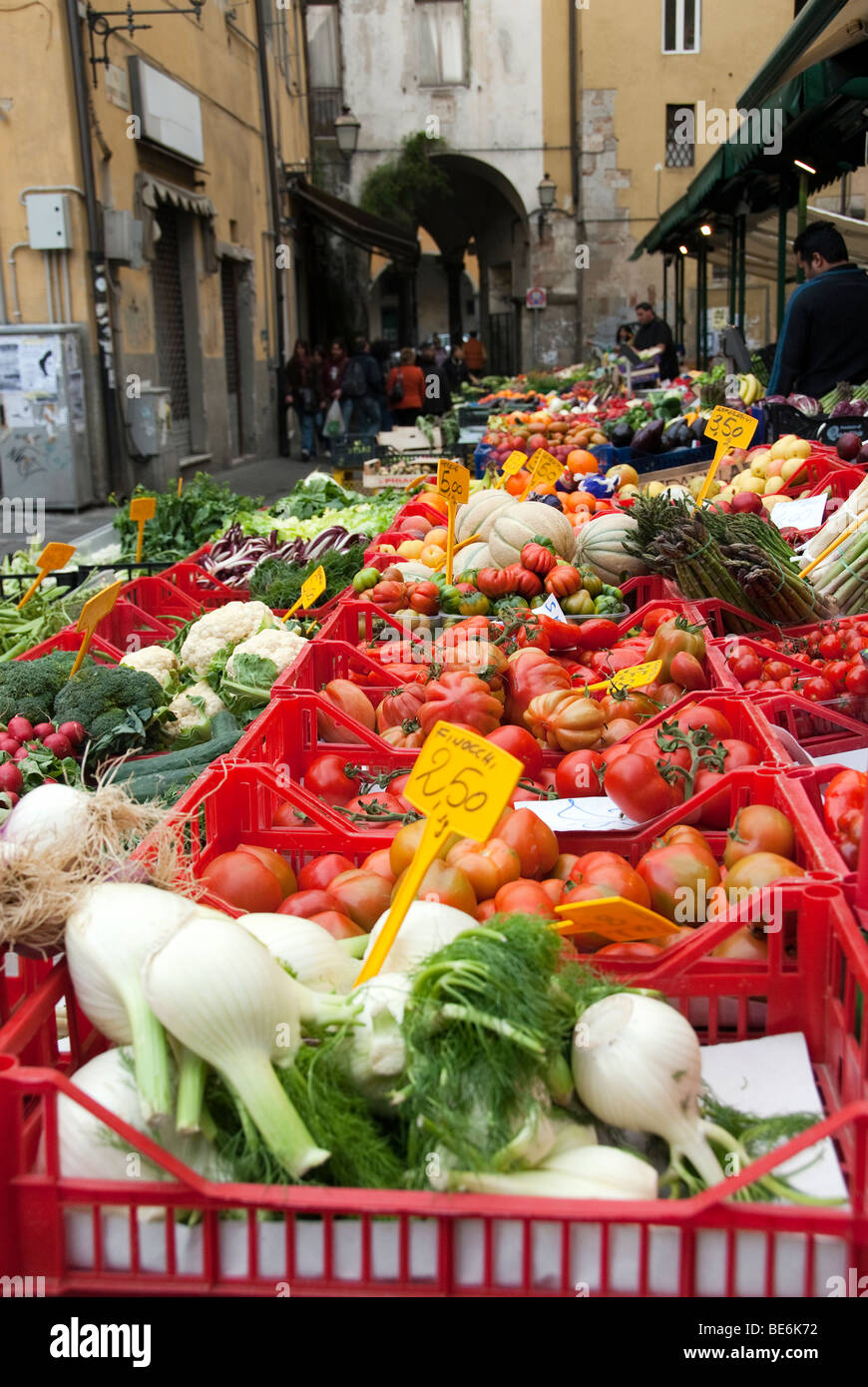 Street market near the University of Sapienza Pisa Stock Photo - Alamy