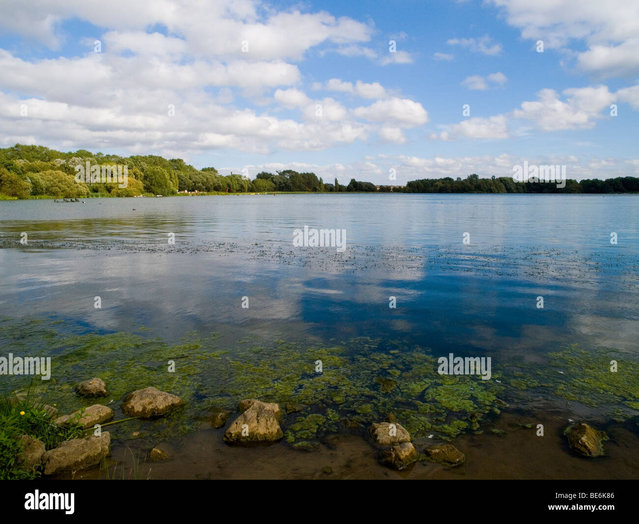 A lake at Colwick Country Park, Nottinghamshire England UK Stock Photo ...