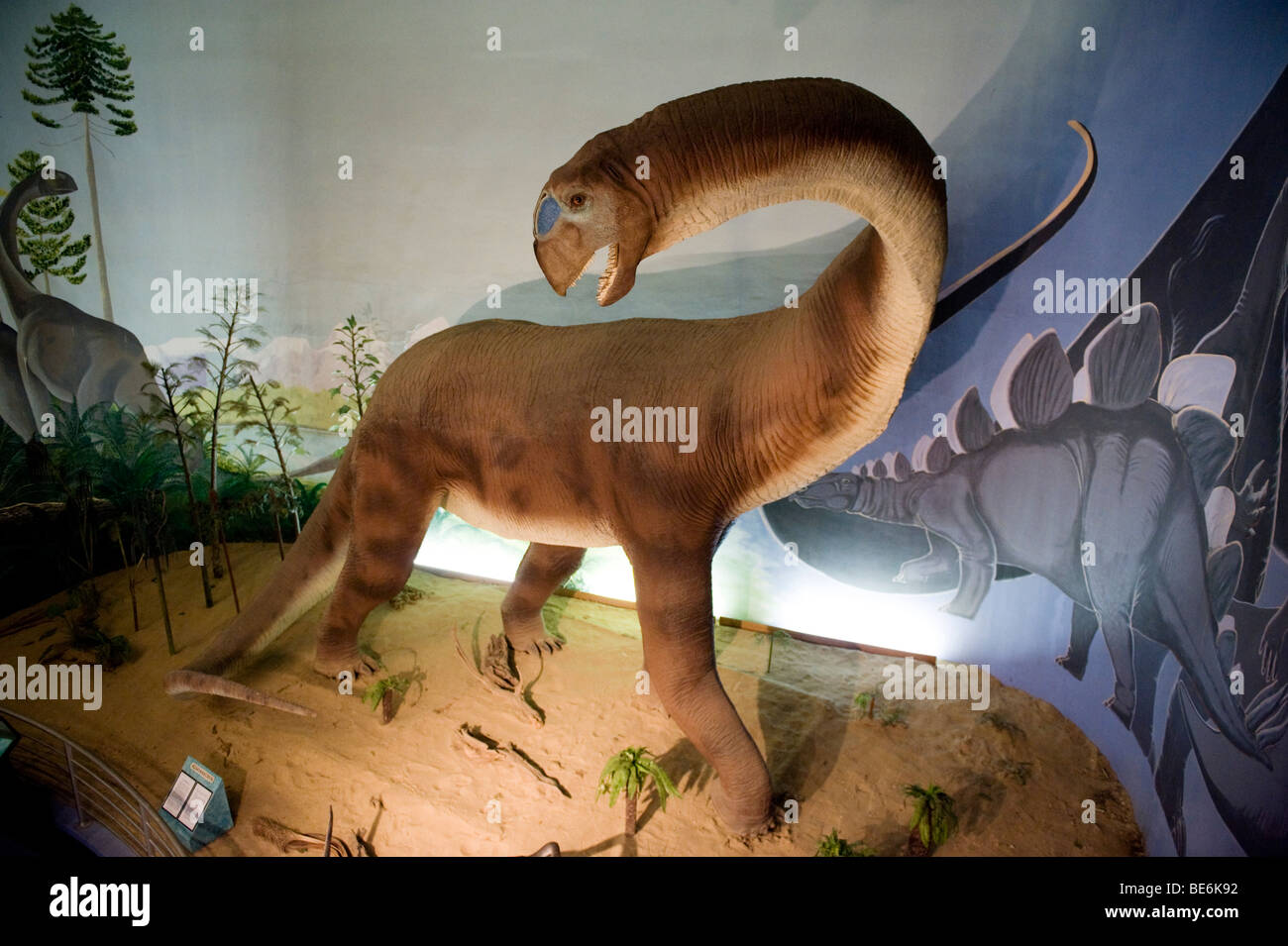 replica of Algoasaurus dinosaur, museum, Bayworld, Port Elizabeth ...