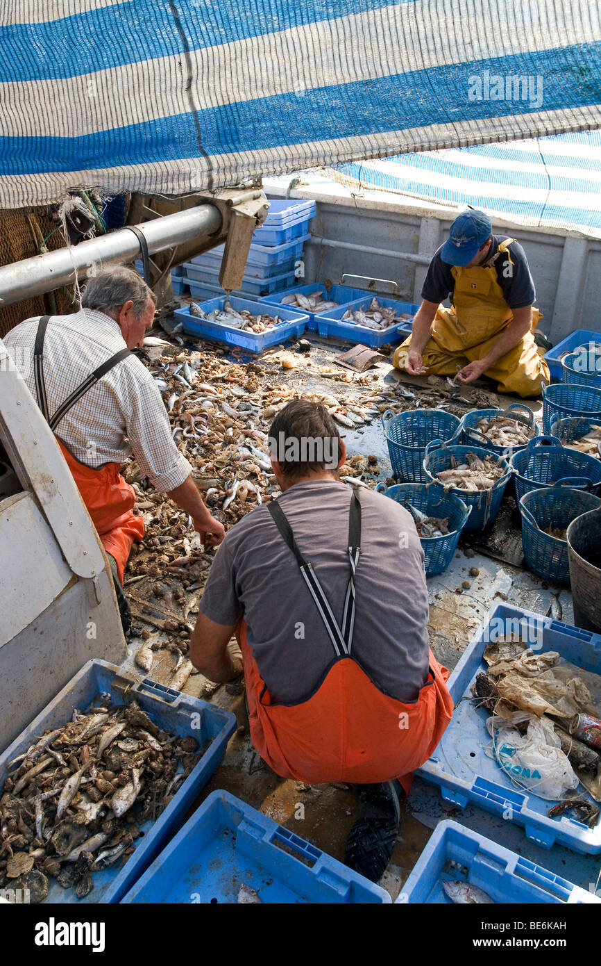 Fishermen sorting out the catch for the fish market in the port of ...