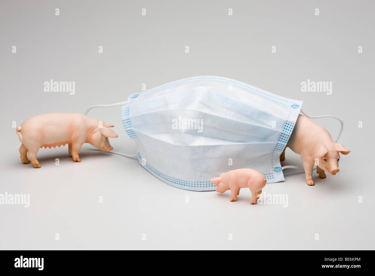 Pigs humour hi-res stock photography and images - Alamy