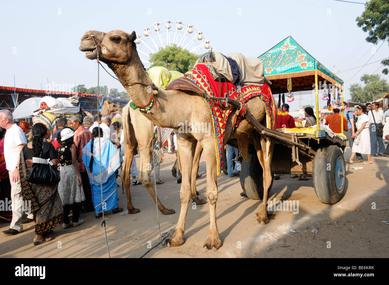Market carts hi-res stock photography and images - Alamy