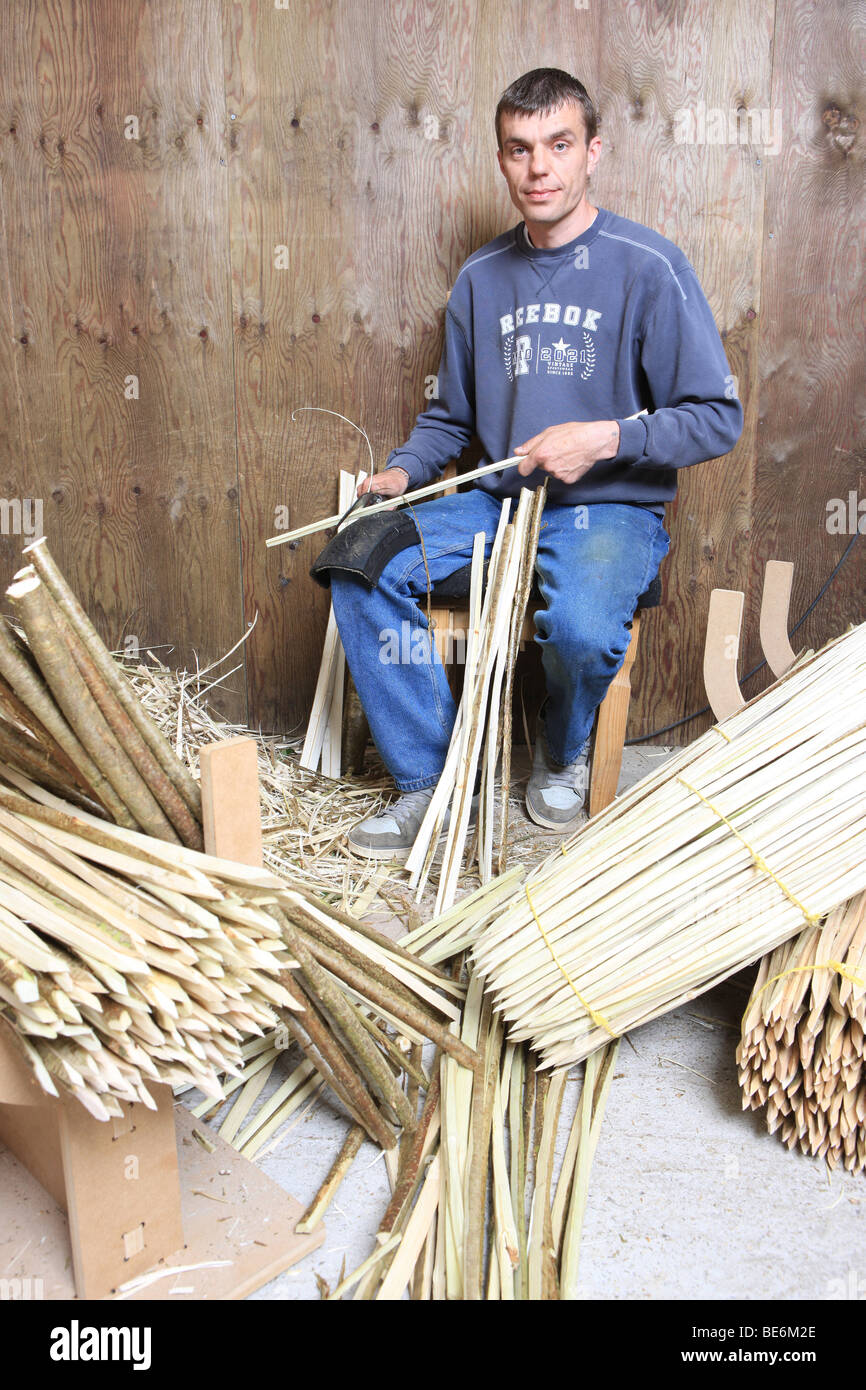 Hazel spars hi-res stock photography and images - Alamy