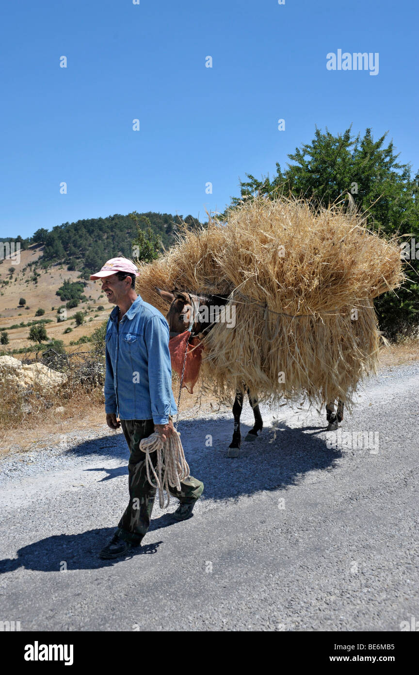 turkish farm worker with his hay laden mule Stock Photo - Alamy
