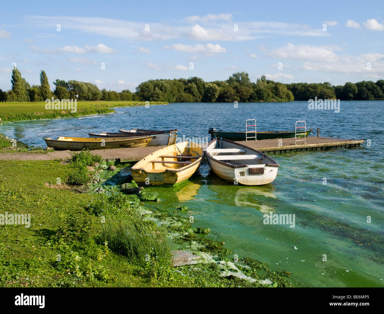 Colwick country park hi-res stock photography and images - Alamy