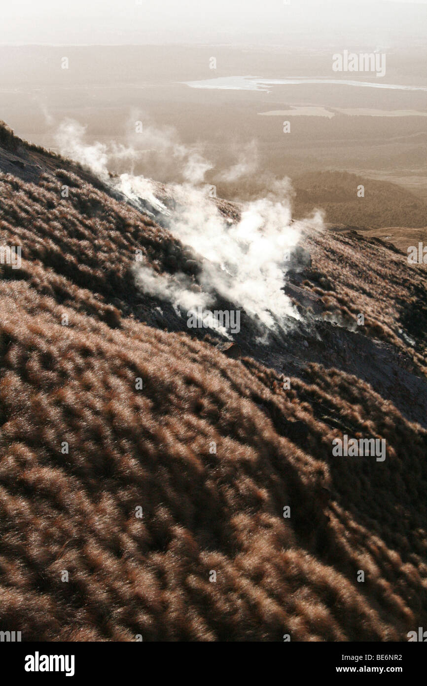 The volcanic scenery of the North Island, New Zealand Stock Photo - Alamy