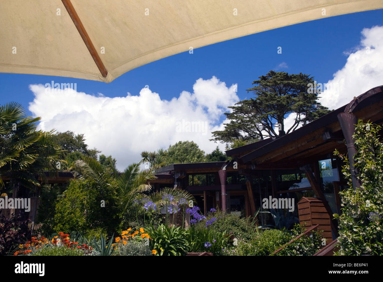 Trebah garden cafe area hi-res stock photography and images - Alamy