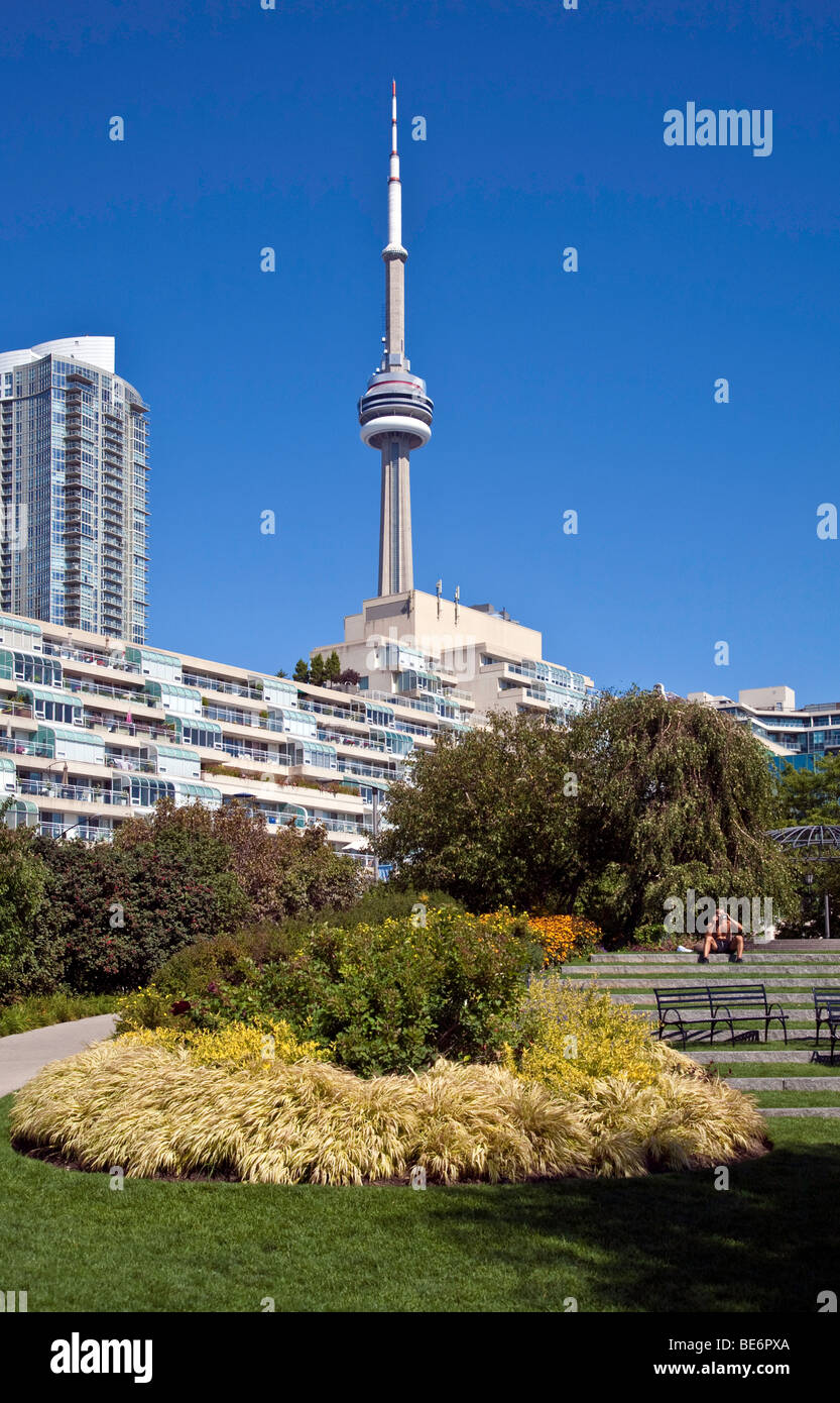 Toronto;Ontario;Canada; Waterfront Condominiums and Office Buildings ...