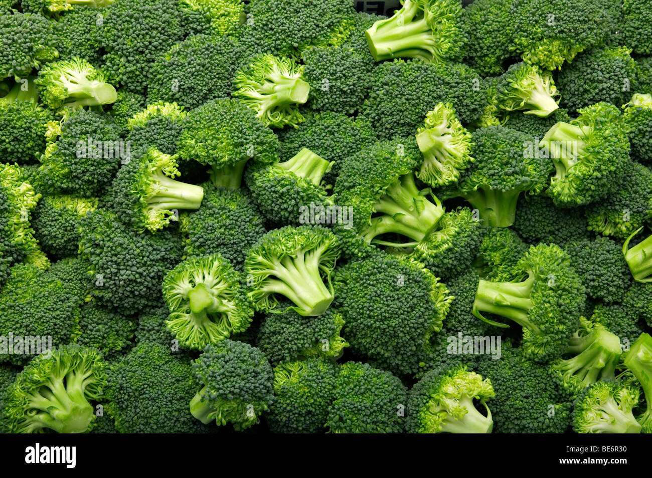 A pile of fresh green broccoli Stock Photo - Alamy