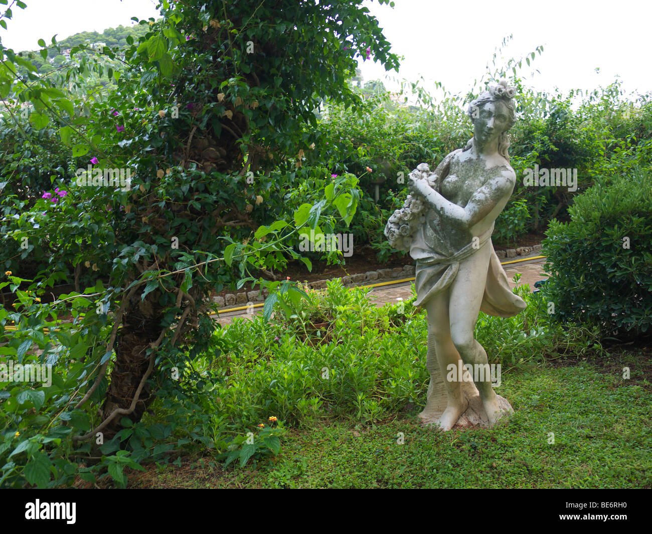 Capri gracie fields hi-res stock photography and images - Alamy