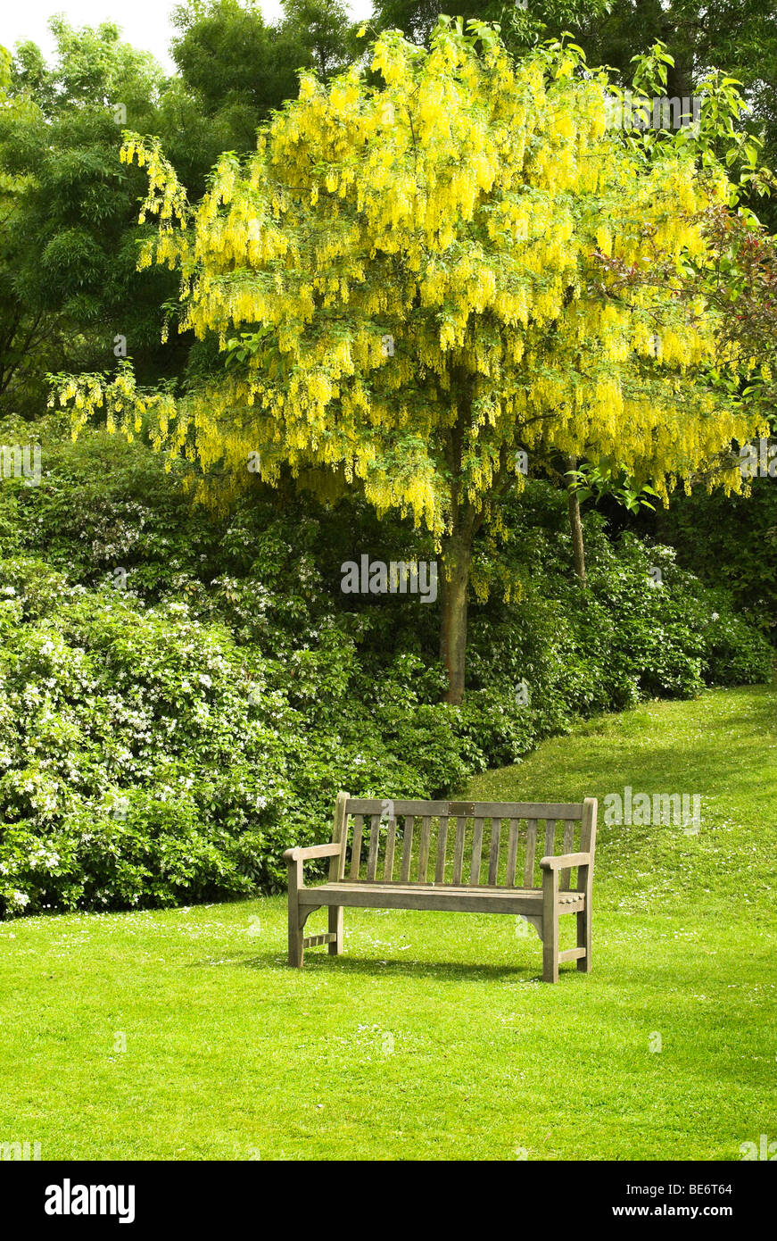 Seat in a late spring garden Stock Photo - Alamy