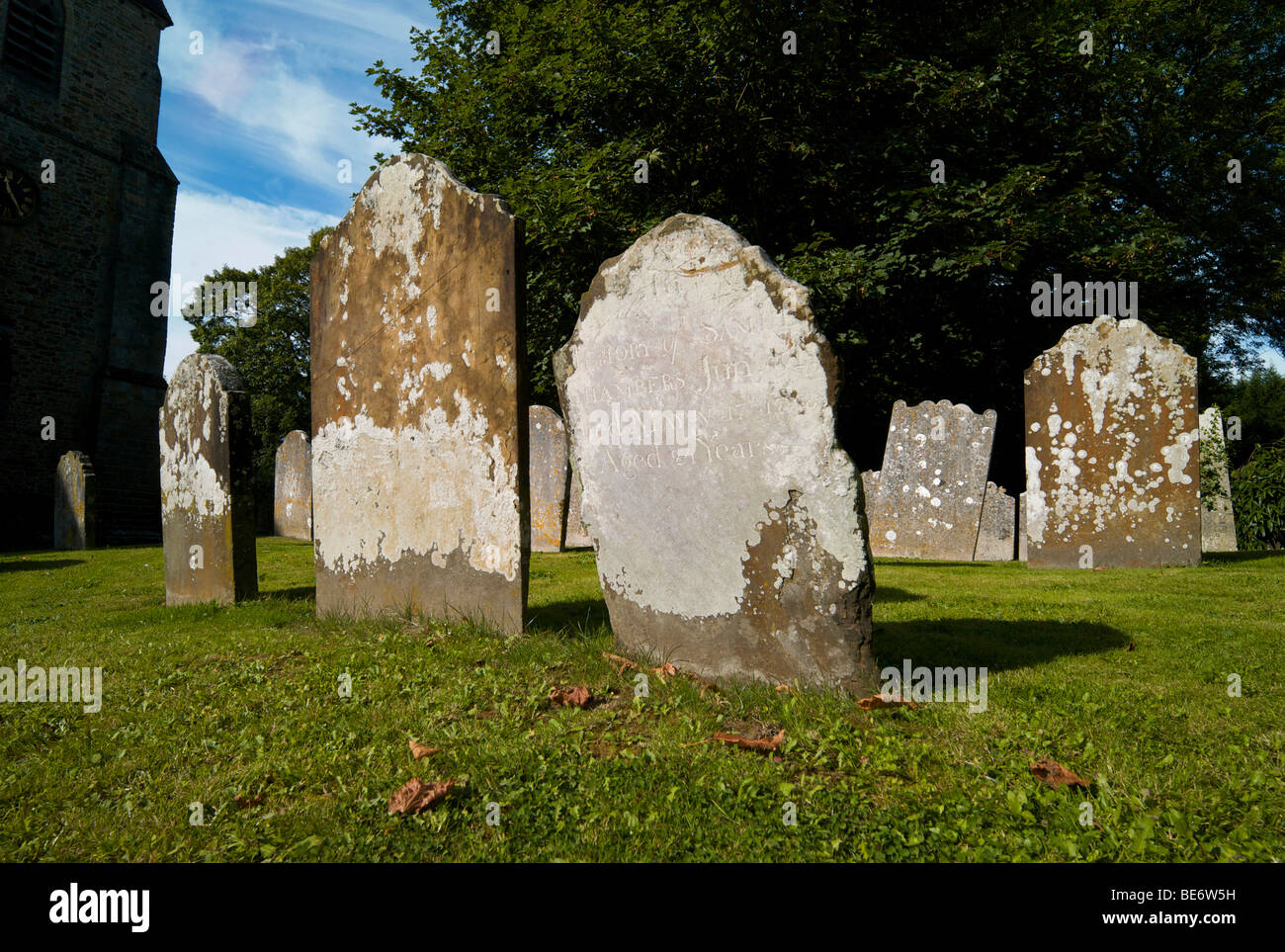 Graves grave overgrown english hi-res stock photography and images - Alamy