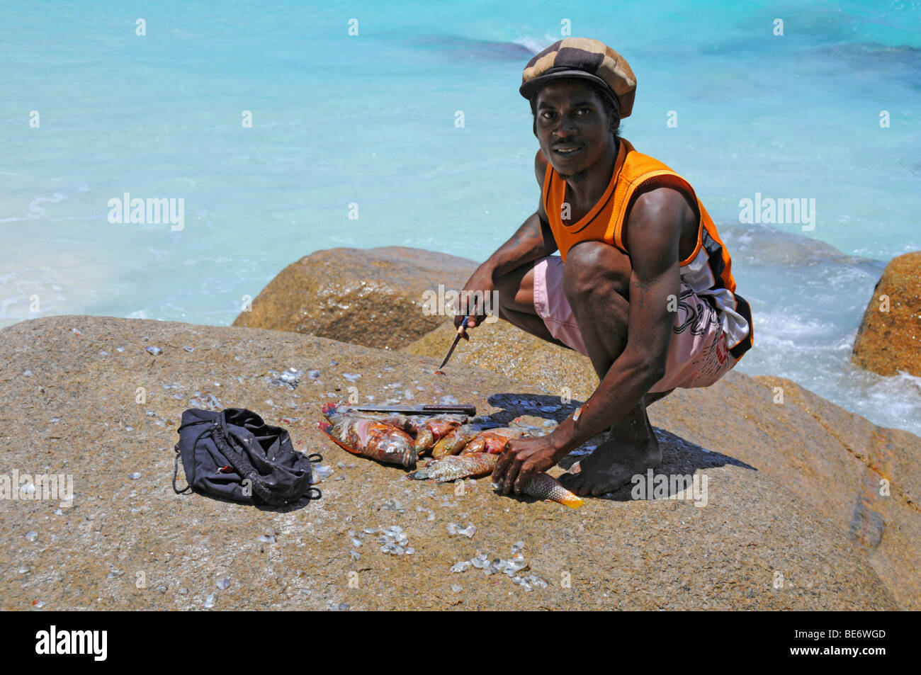 Creole fish hi-res stock photography and images - Alamy
