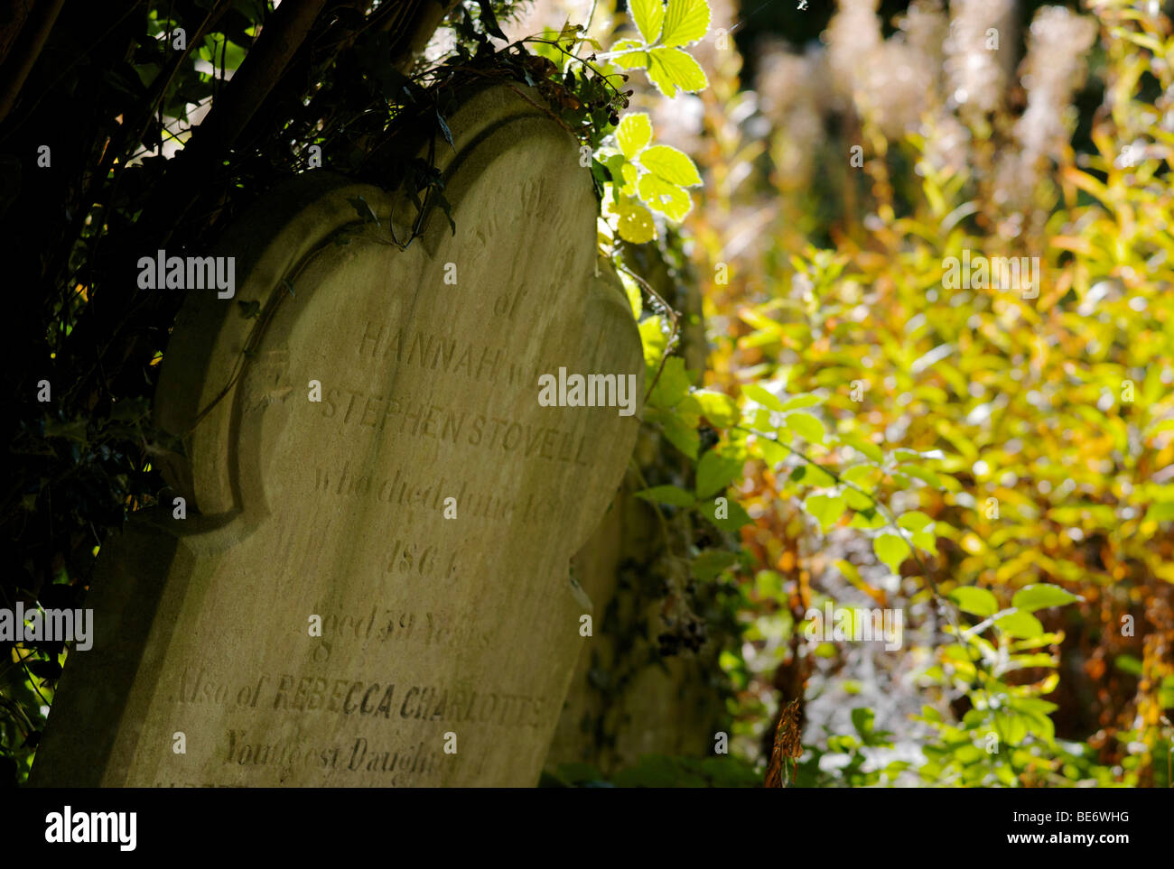 Old graves in an English graveyard Stock Photo - Alamy