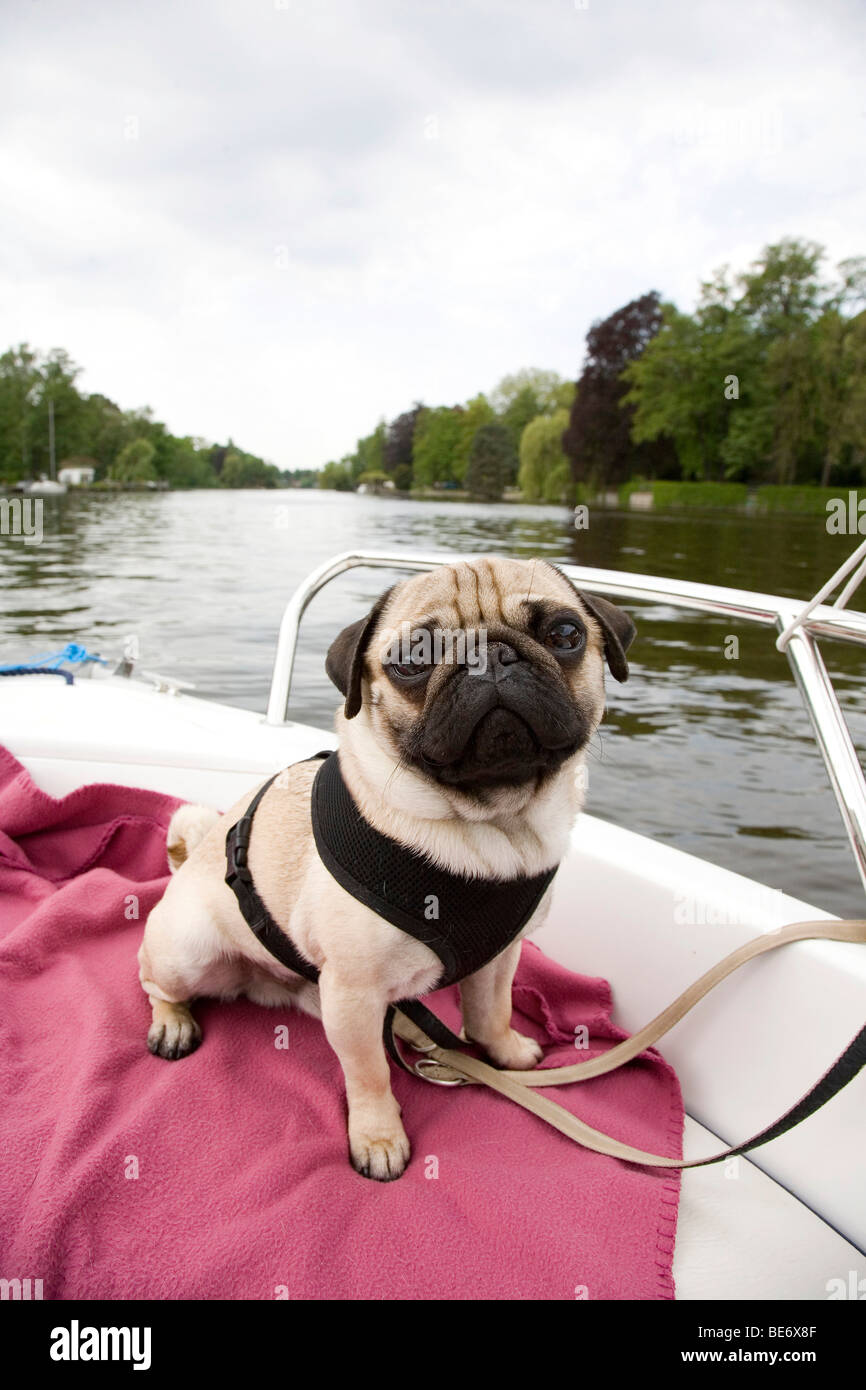 Junge schiff hi-res stock photography and images - Alamy