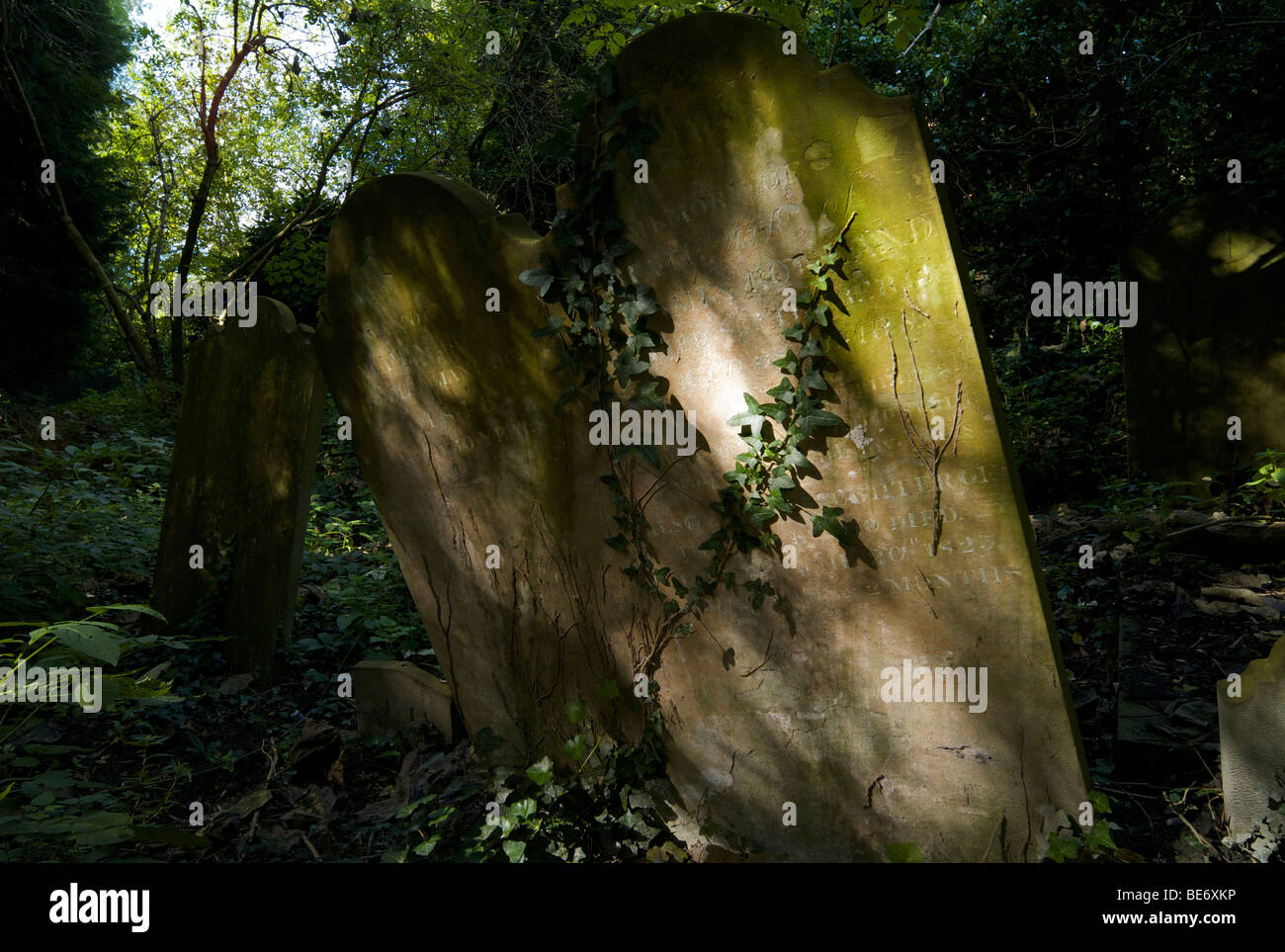 Old graves in an English graveyard Stock Photo - Alamy