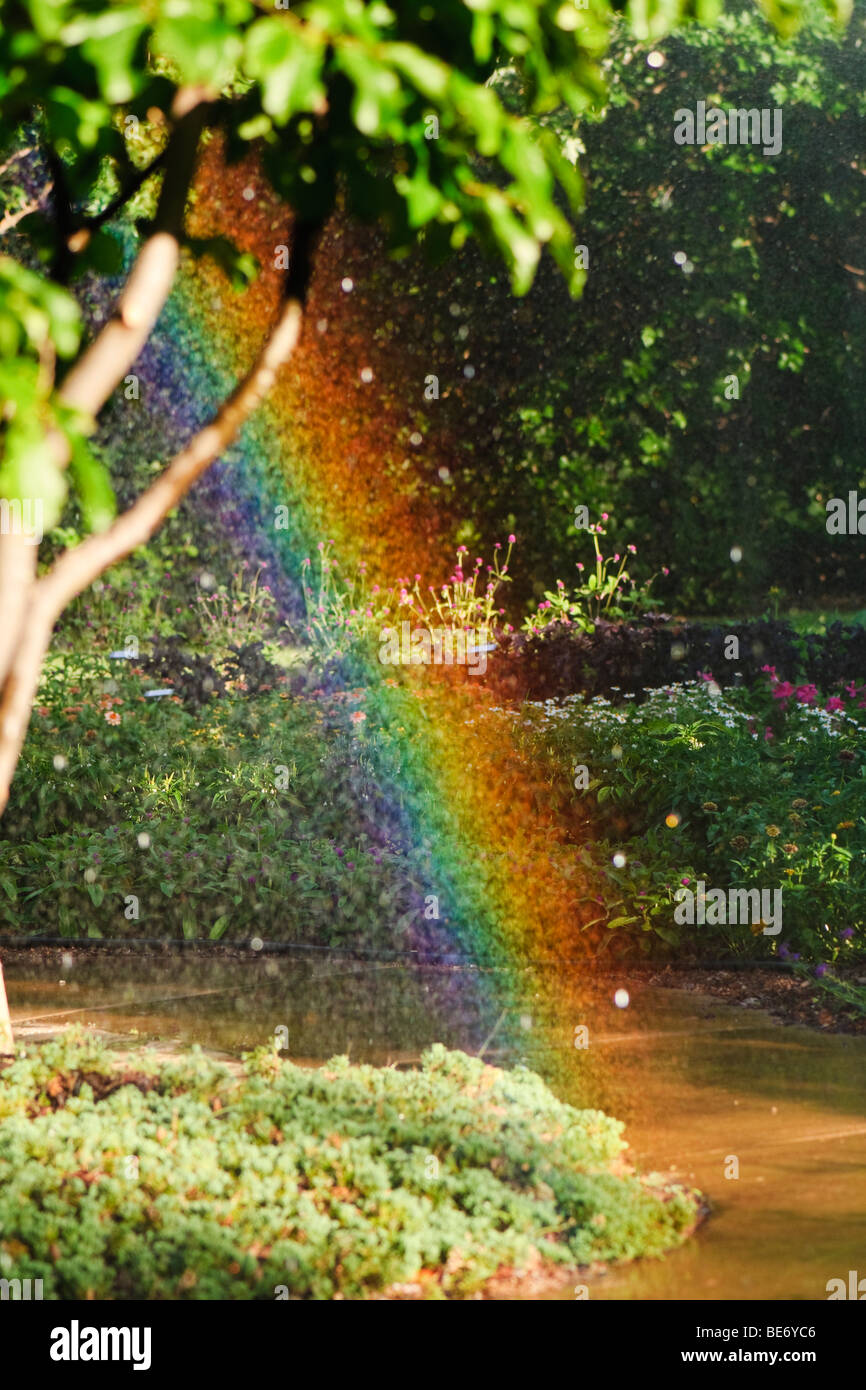 Beautiful Garden With Rainbow Background