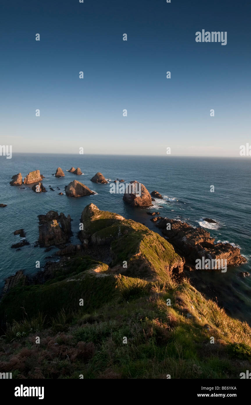 Nugget point new zealand hi-res stock photography and images - Alamy