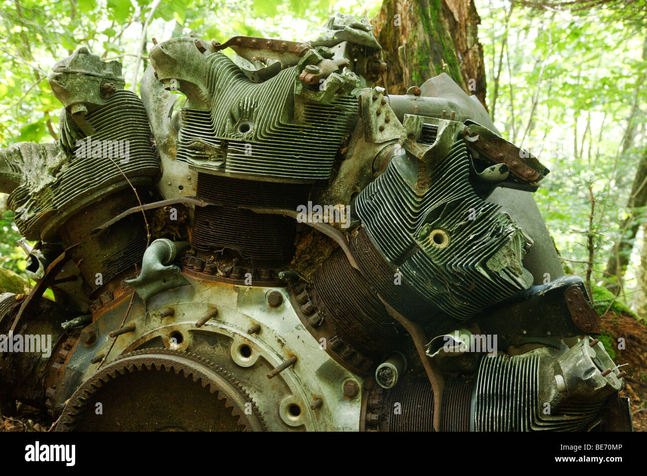 Crash site of B-18 Bomber on Mount Waternomee in Woodstock, New ...