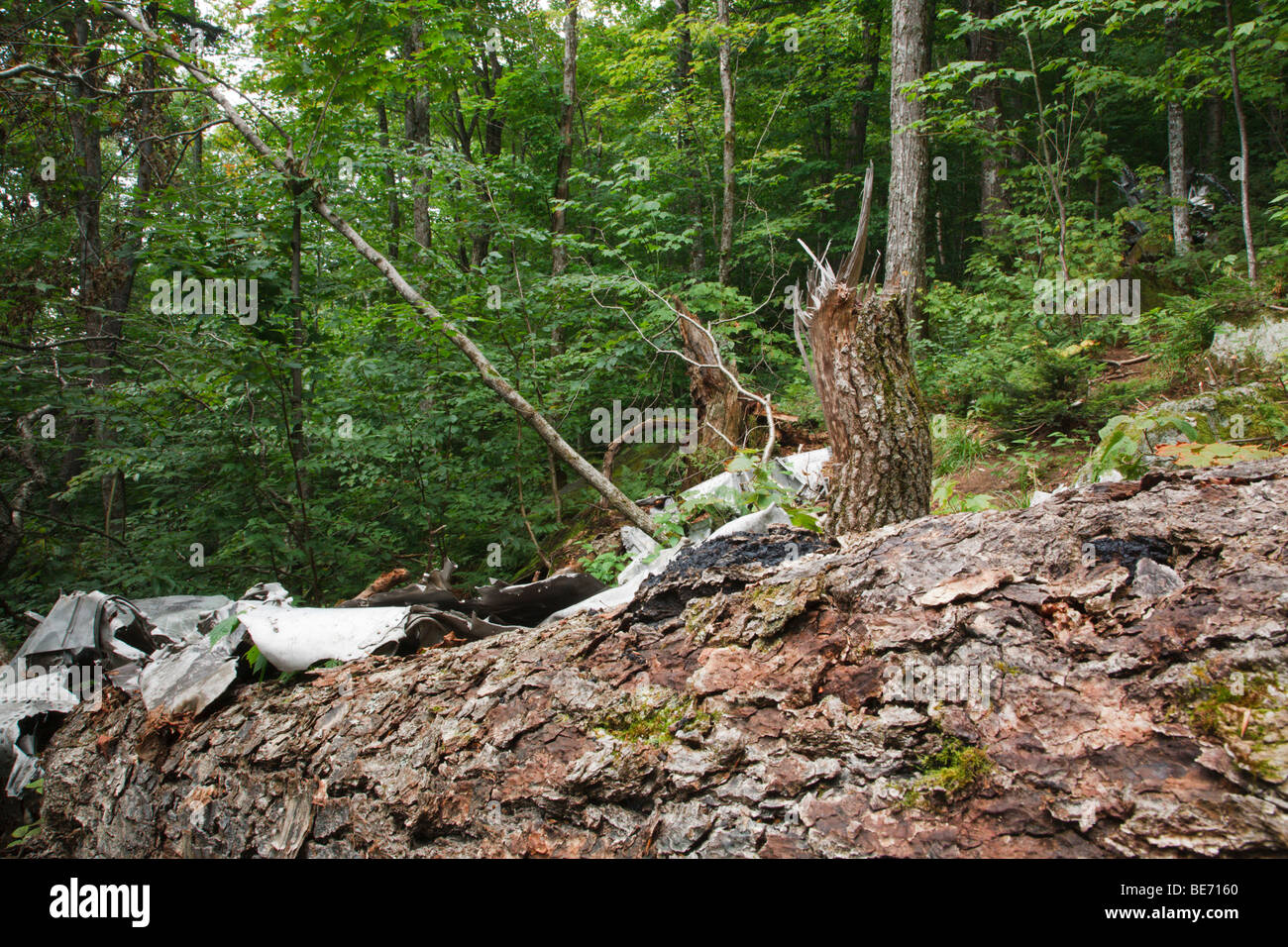 Crash site of B-18 Bomber on Mount Waternomee in Woodstock, New ...