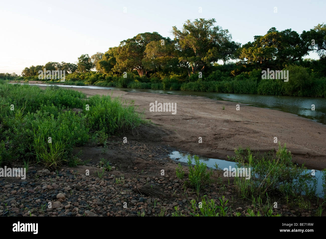 Shingwedzi river, Kruger National Park, South Africa Stock Photo - Alamy