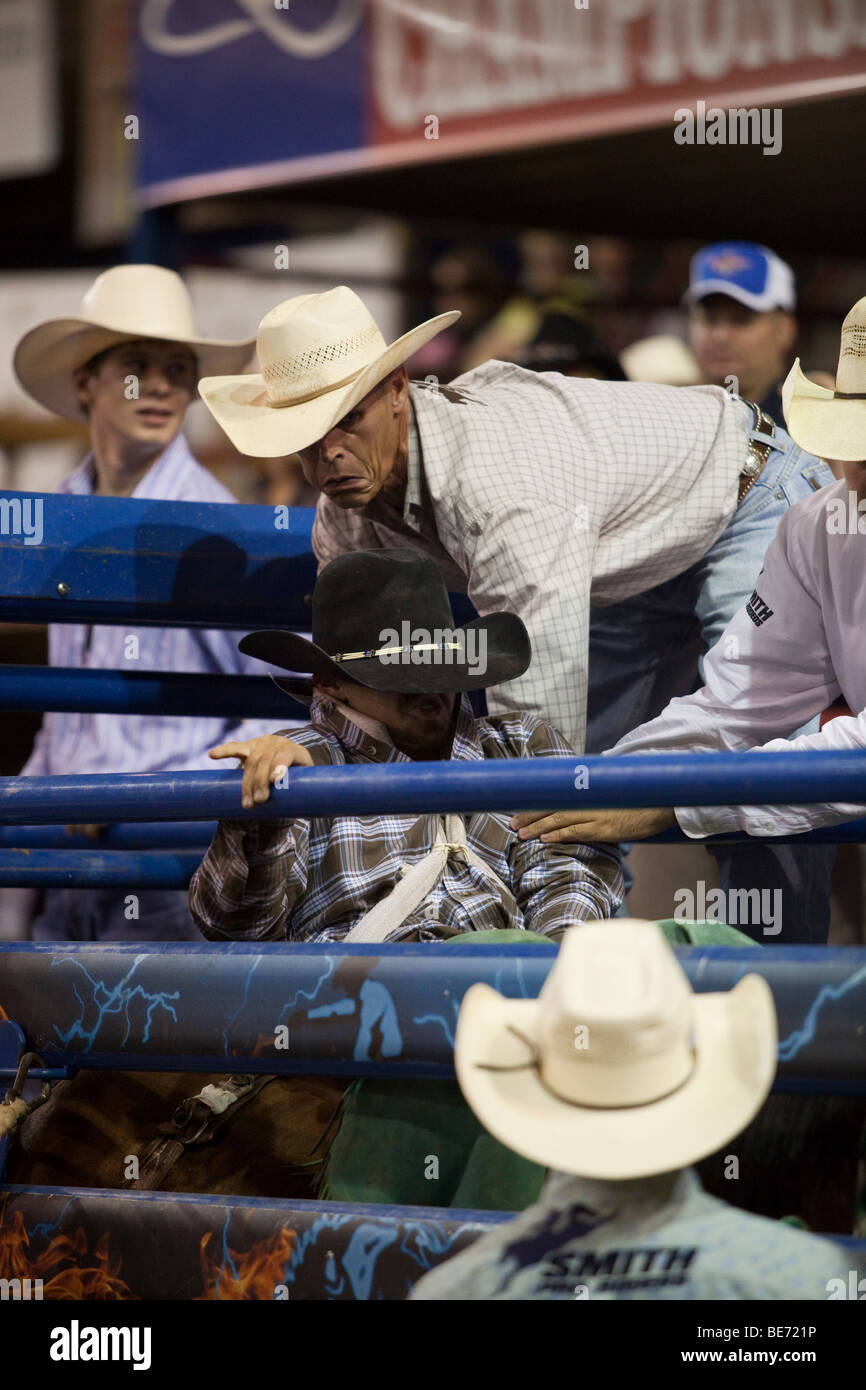 Rodeo Cowboy bareback riding a horse at the Mesquite Championship Rodeo ...