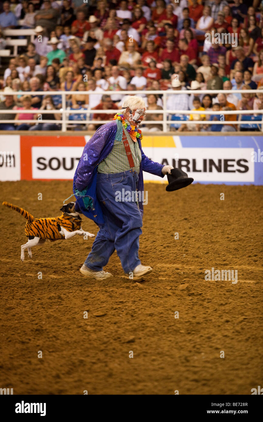 Dog dressed as leopard biting a rodeo clown at Mesquite Championship ...