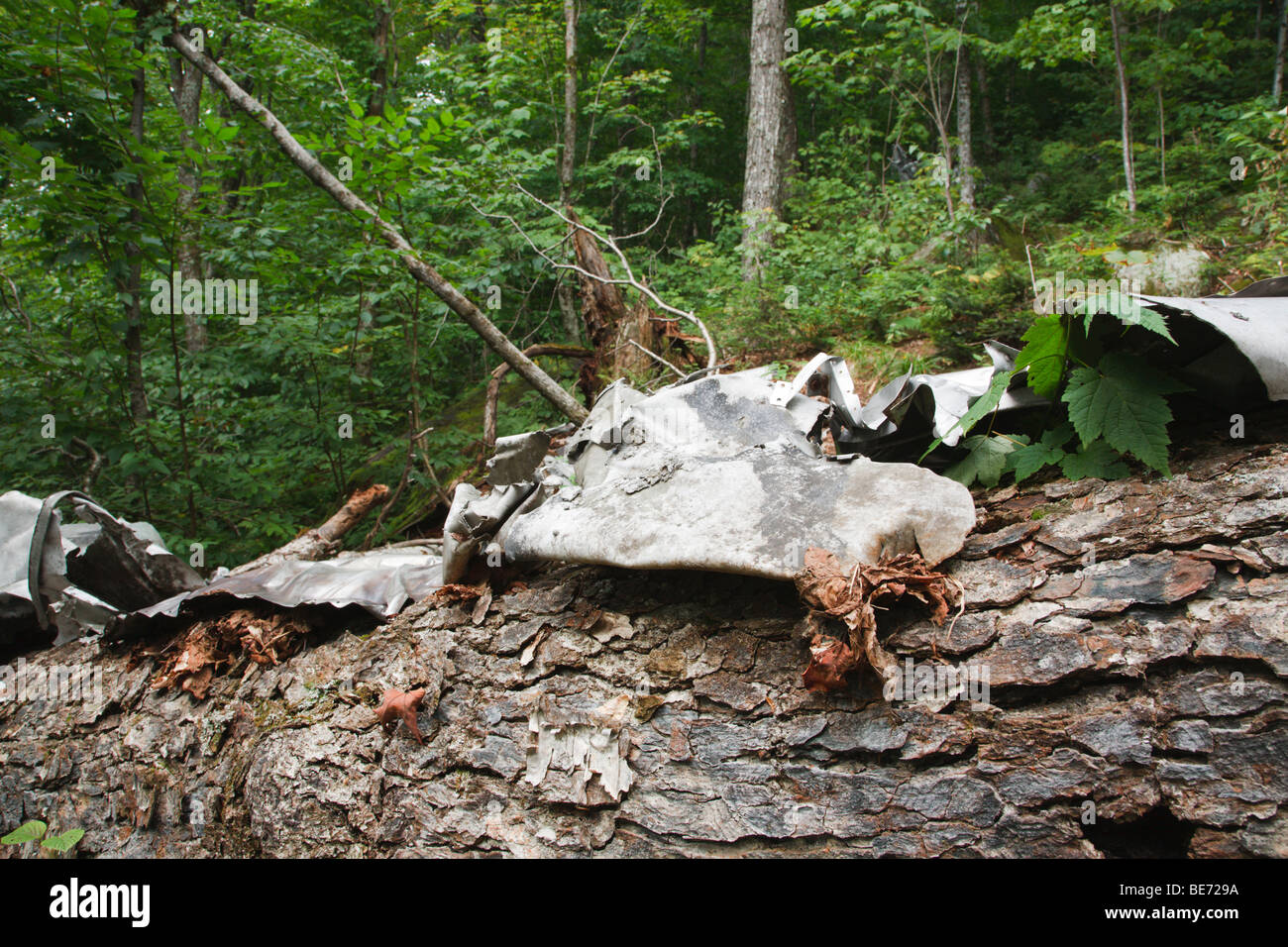 Crash site of B-18 Bomber on Mount Waternomee in Woodstock, New ...