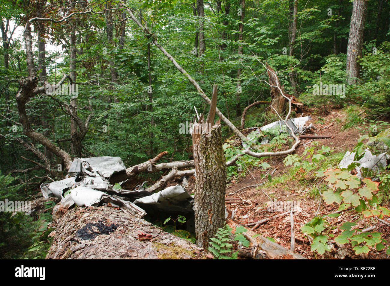 Crash site of B-18 Bomber on Mount Waternomee in Woodstock, New ...