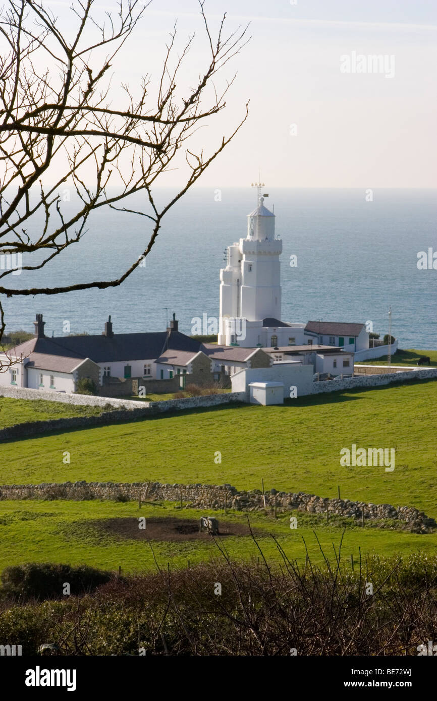St Catherine's Point Lighthouse, Isle of Wight Stock Photo - Alamy