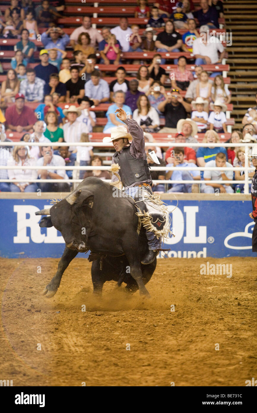 Rodeo Cowboy bull riding at the Mesquite Championship Rodeo, Mesquite ...