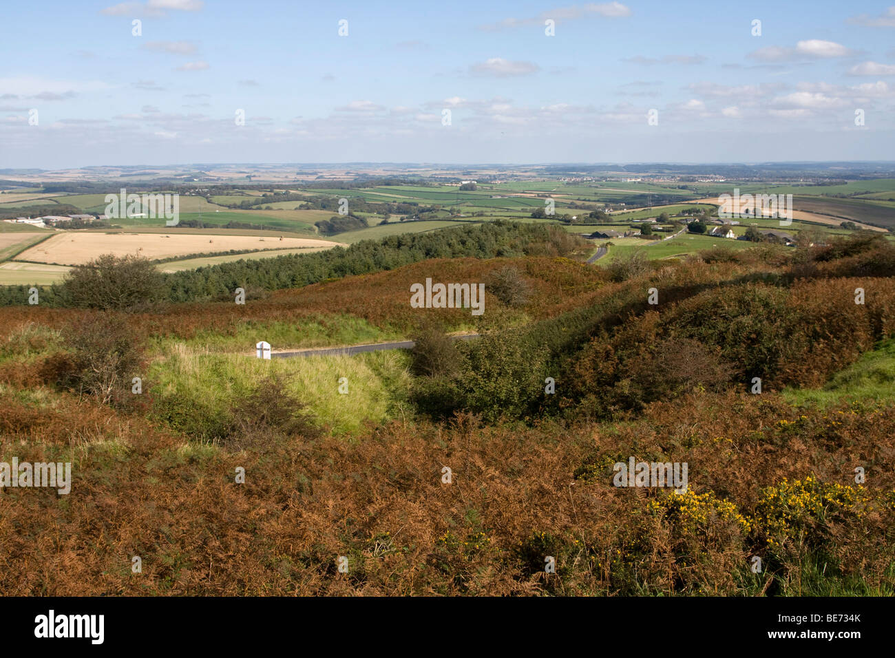 hardy's monument view dorset england uk gb Stock Photo - Alamy