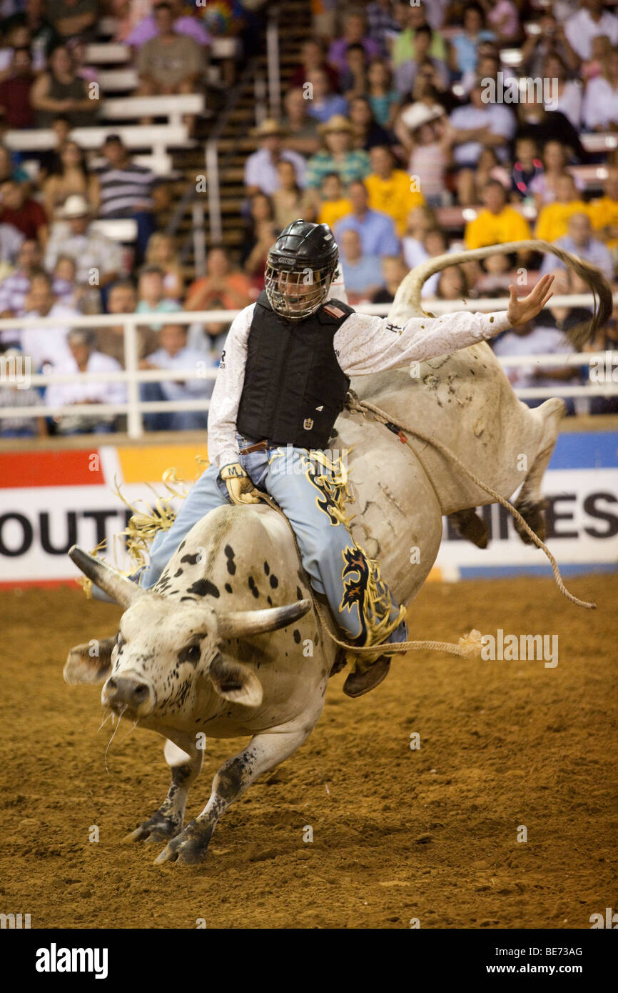 Bull riding texas rodeo hi-res stock photography and images - Alamy