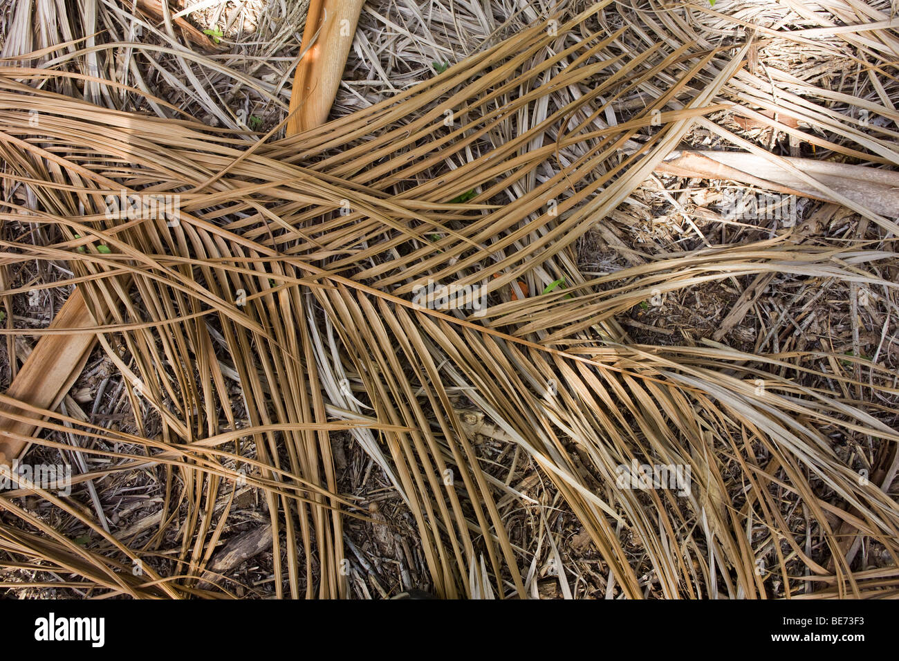 Ground design hi-res stock photography and images - Alamy