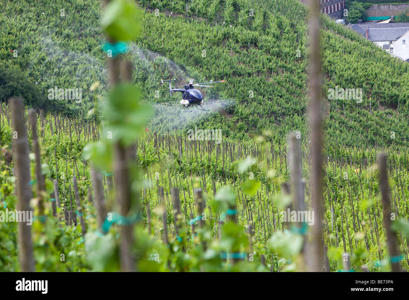 Spraying pesticide vineyard hi-res stock photography and images - Alamy