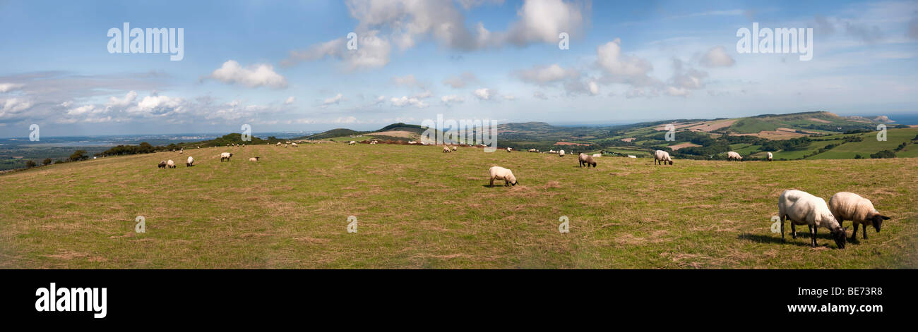 Whiteways hi-res stock photography and images - Alamy