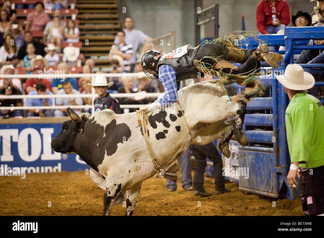 Rodeo Cowboy bull riding while a clown looks on at the Mesquite ...