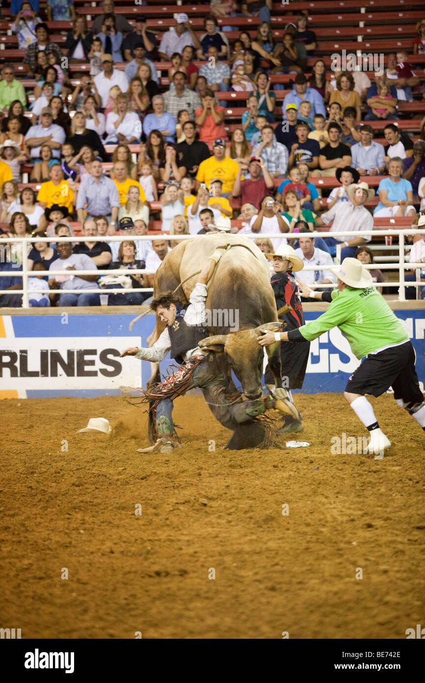 Rodeo Cowboy bull riding while a clown looks on at the Mesquite ...