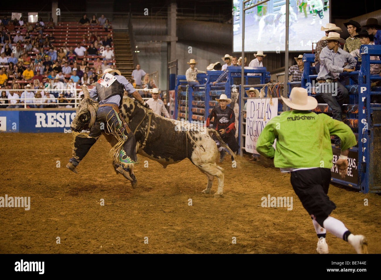 Rodeo Cowboy bull riding while a clown looks on at the Mesquite ...