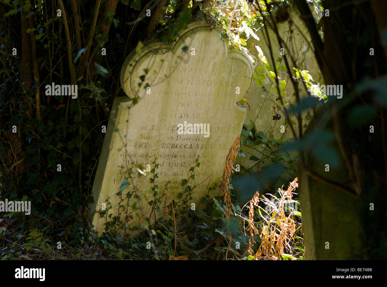 Old graves in an English graveyard Stock Photo - Alamy