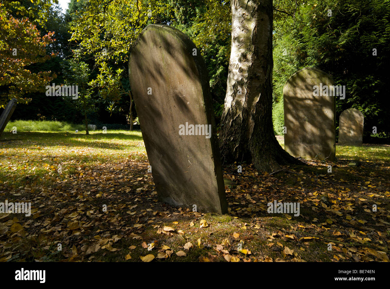 Graves grave overgrown english hi-res stock photography and images - Alamy