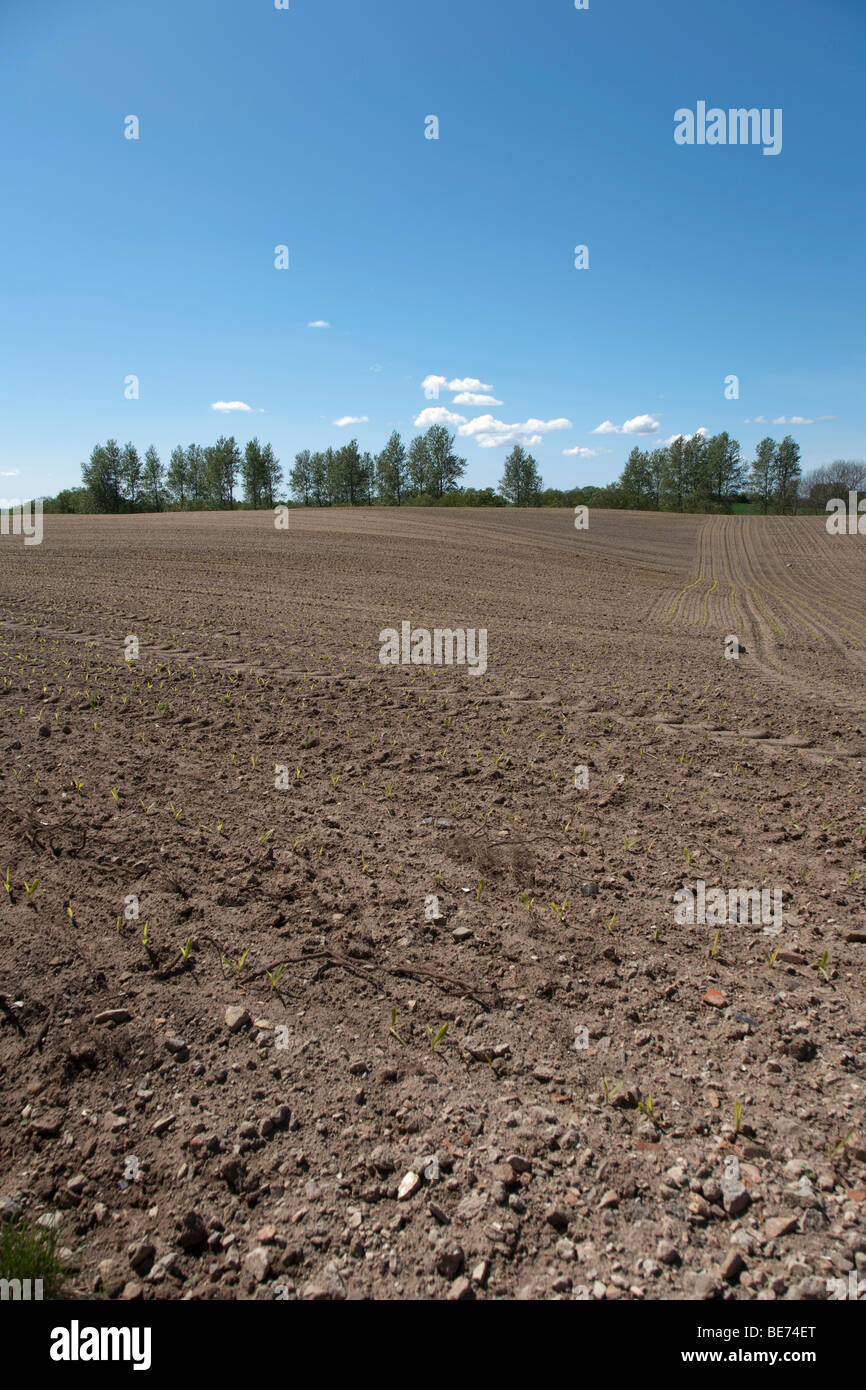 Landschaft angeln hi-res stock photography and images - Alamy