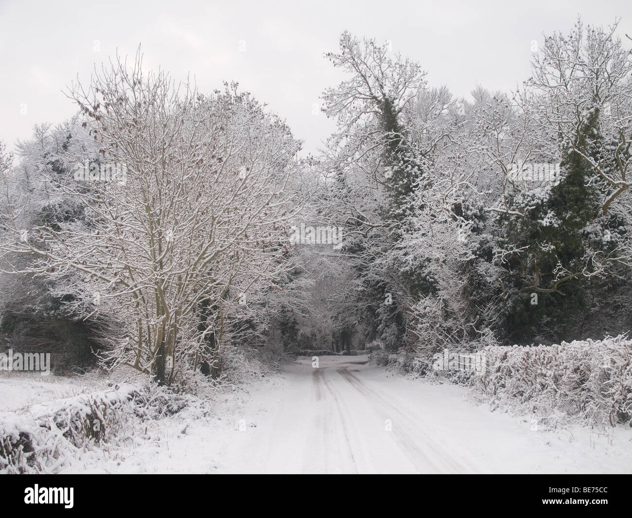 Snowed in road hi-res stock photography and images - Alamy