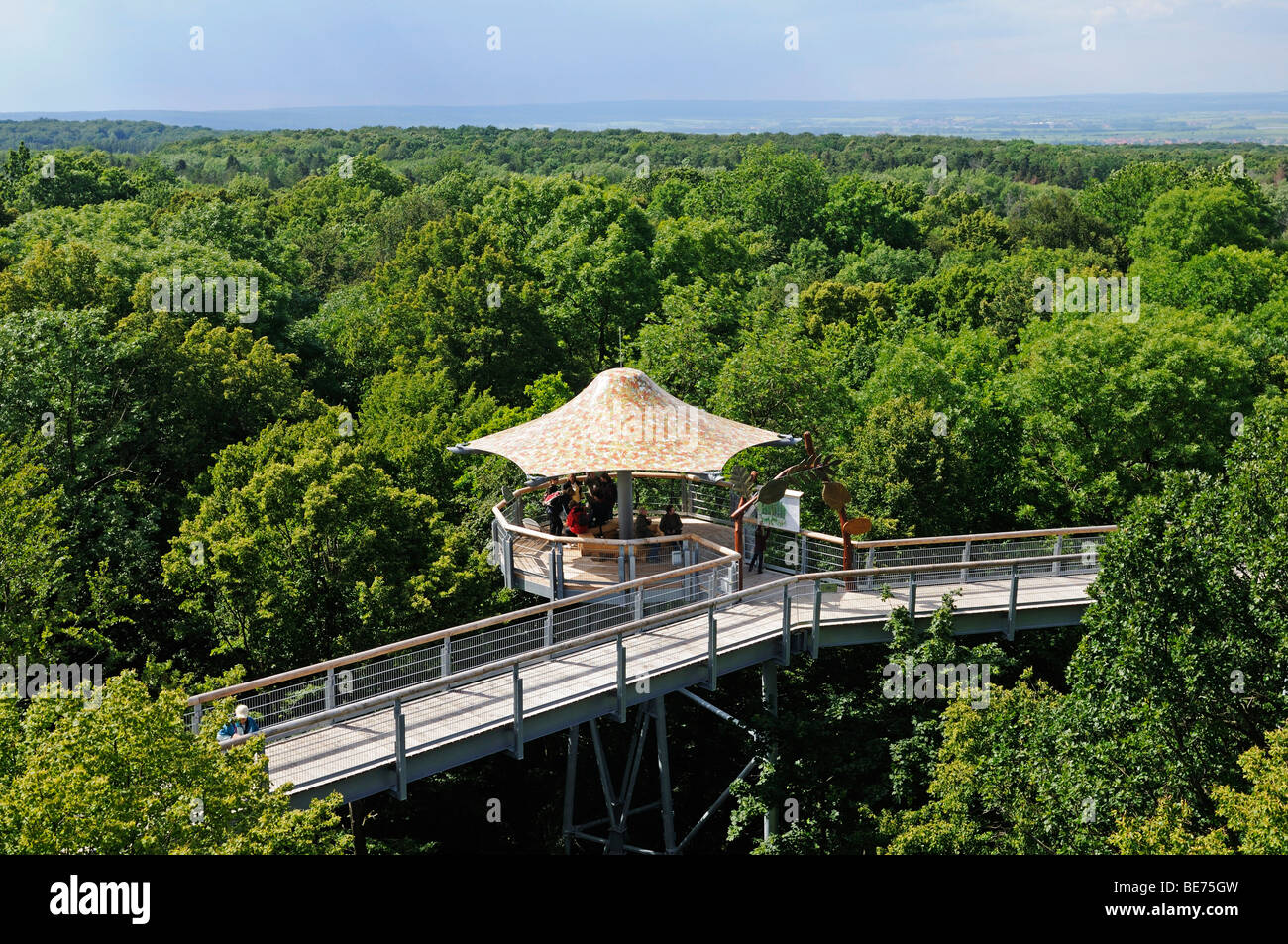 Baumkronenpfad tree top walk in the Hainich National Park, Thuringia ...