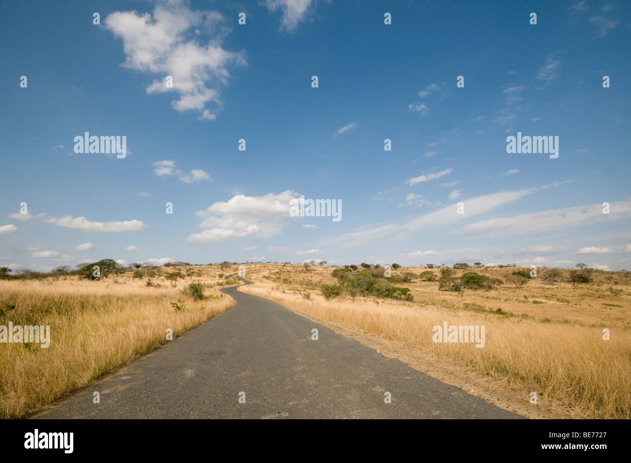 Road through bush in South Africa Stock Photo - Alamy