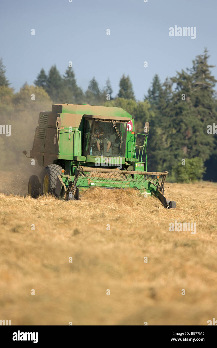 Harvesting Hay in August - Oregon - USA - Making bales Stock Photo - Alamy