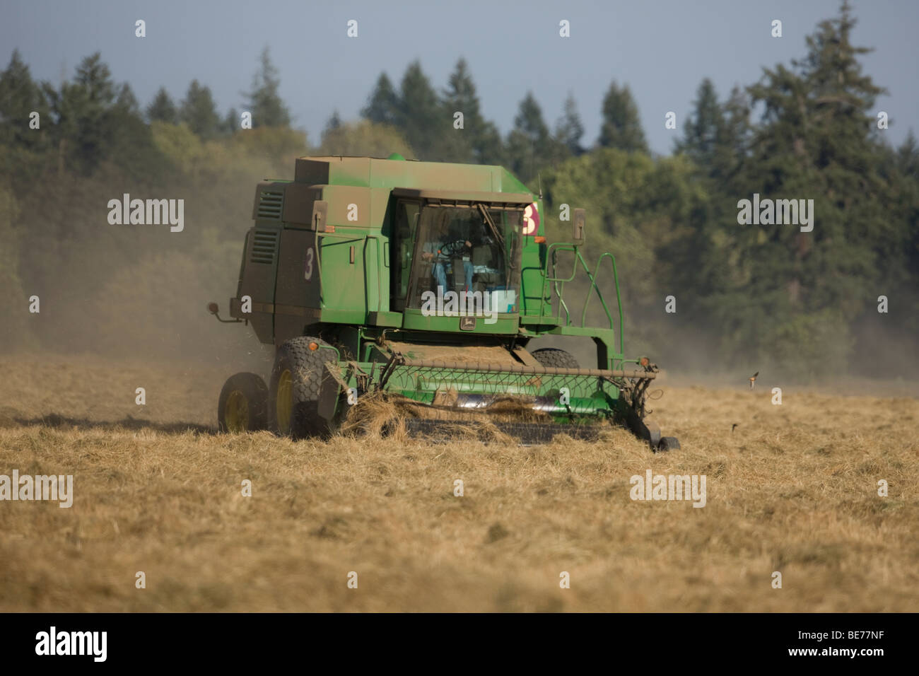 Harvesting Hay in August - Oregon - USA - Making bales Stock Photo - Alamy