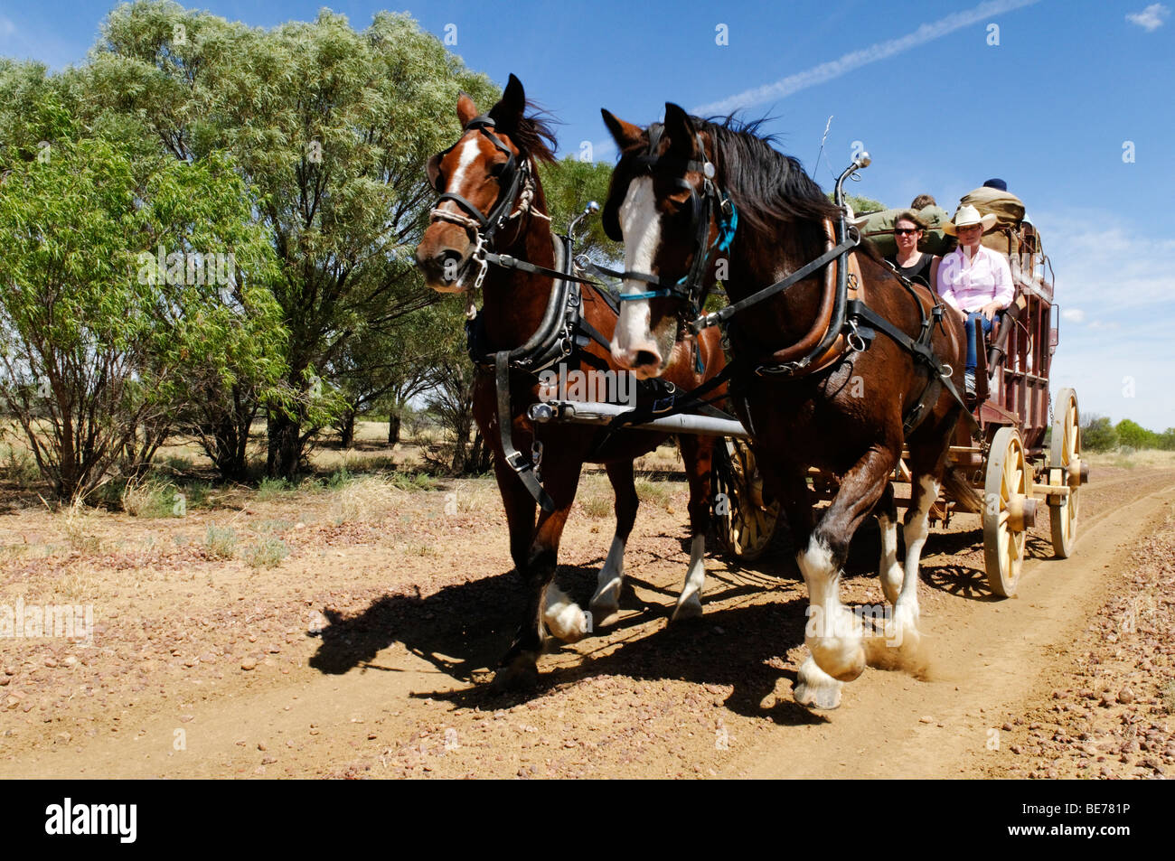 Tourists on a horse drawn carriage, stagecoach, Longreach, Queensland ...